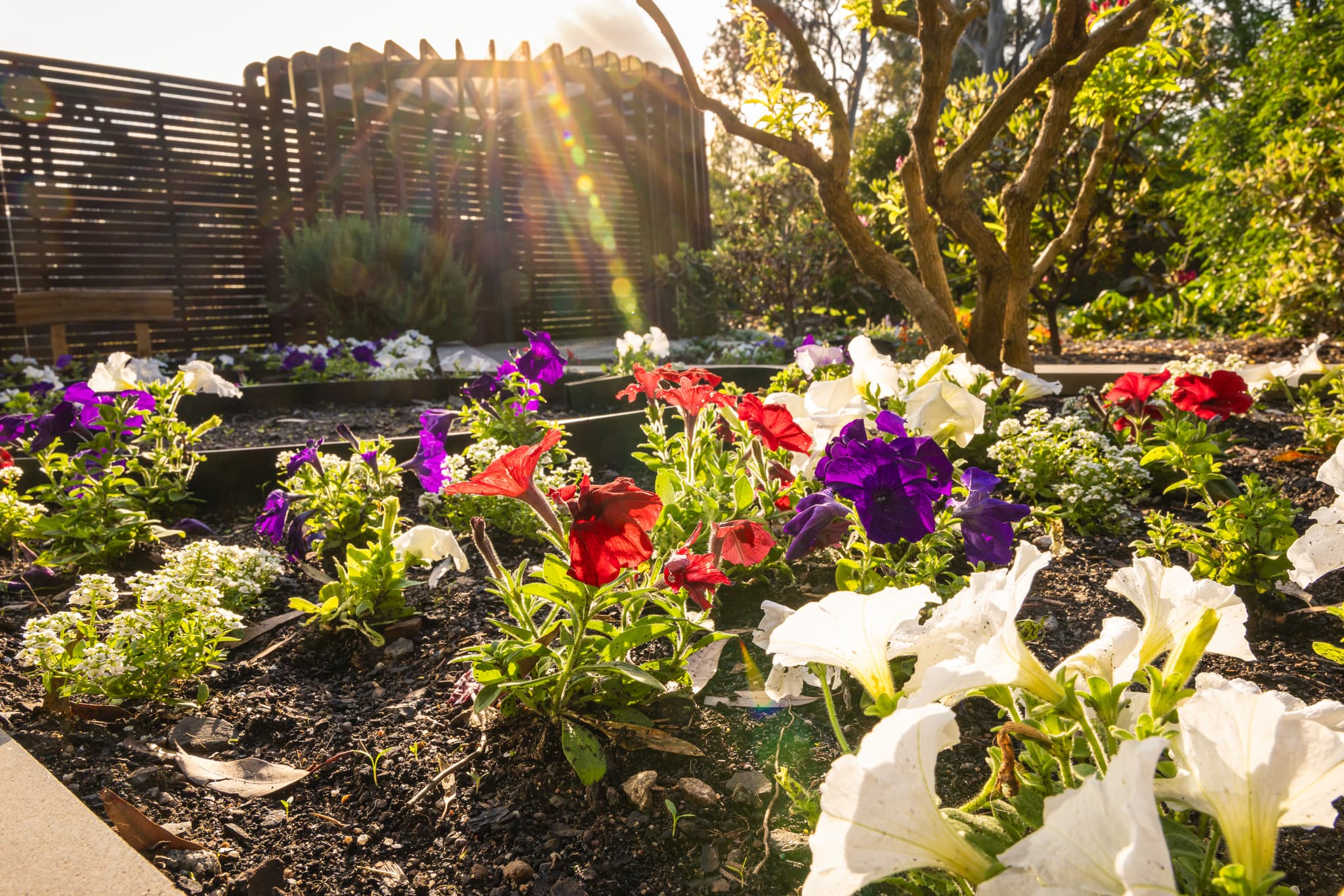 Grief Retreat at Springvale Botanical Cemetery | SMCT