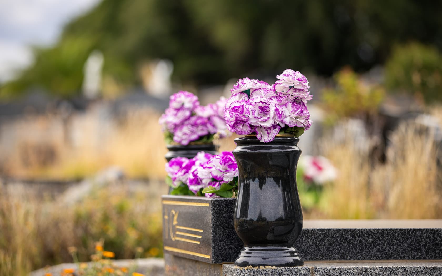 Cemetery maps | SMCT