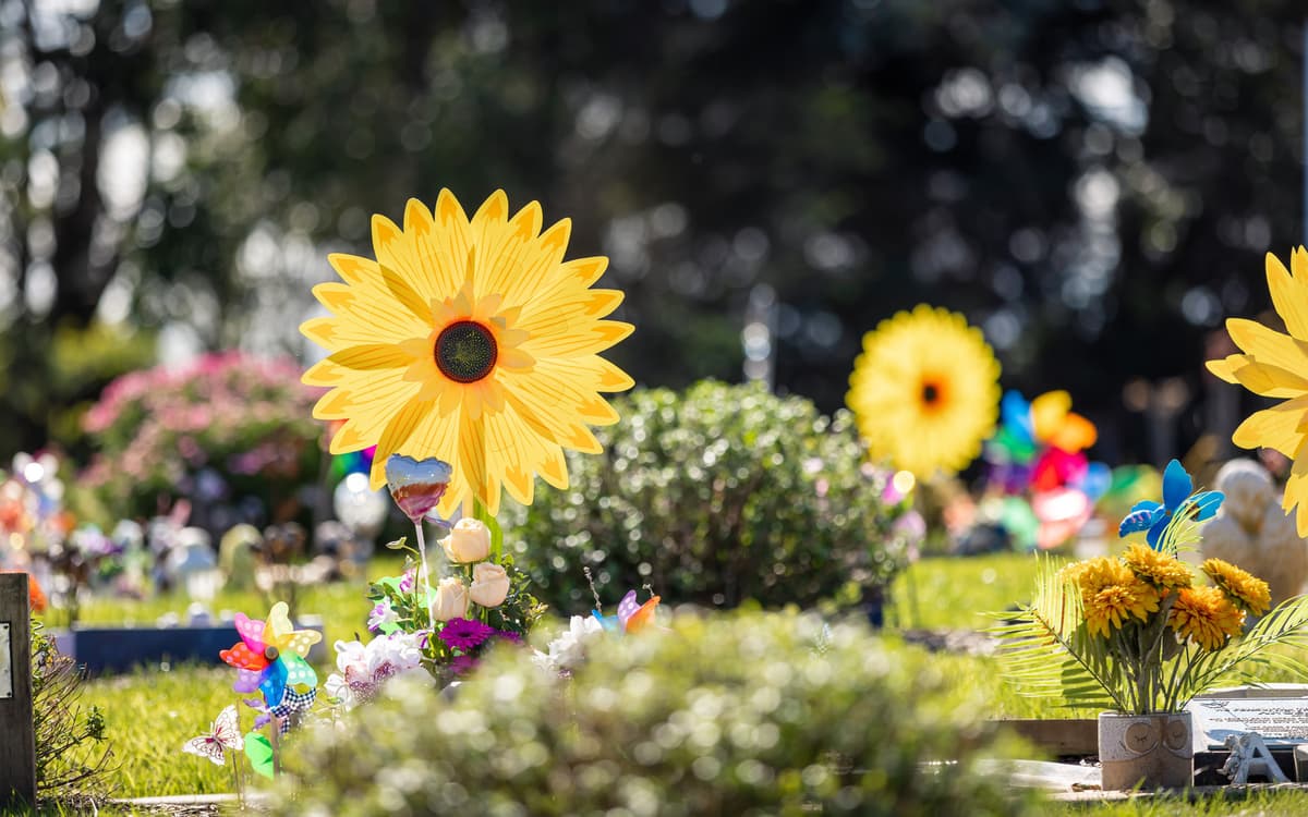 Explore Burial Plots & Memorials at Springvale Botanical… | SMCT